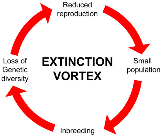 Assessment of the Genetic Diversity and Structure of the Korean Endemic ...