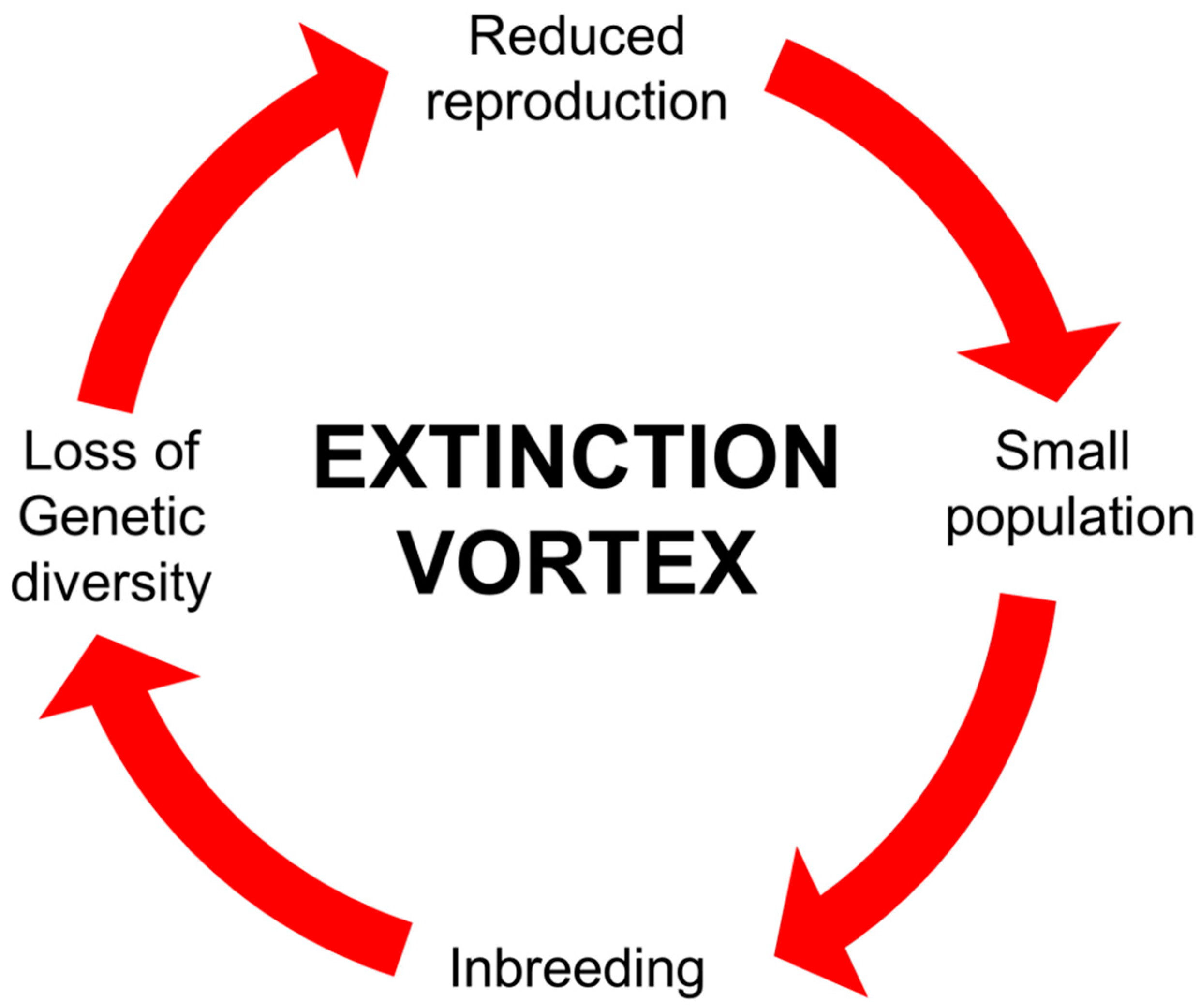 Assessment of the Genetic Diversity and Structure of the Korean Endemic ...