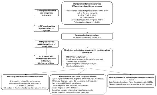 Genes | Free Full-Text | Cerebrospinal Fluid C1-Esterase Inhibitor and ...