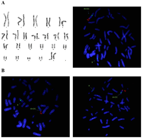 Non-Invasive Prenatal Test Analysis Opens a Pandora’s Box ...