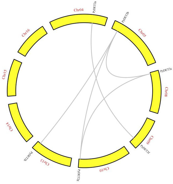 Genome-Wide Identification, Expression Analysis, and Subcellular ...