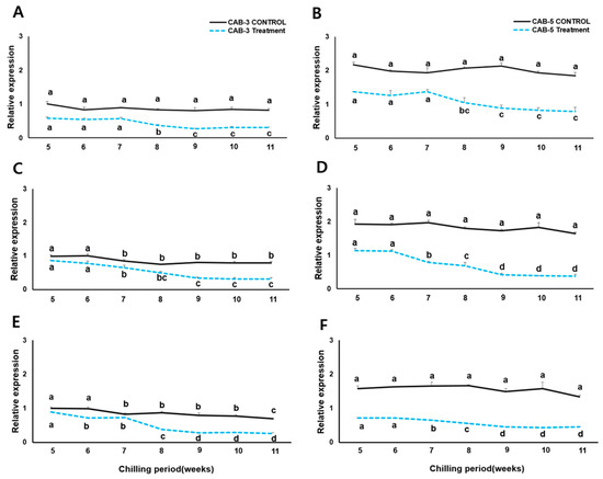 Molecular Evaluation of the Effects of FLC Homologs and Coordinating ...