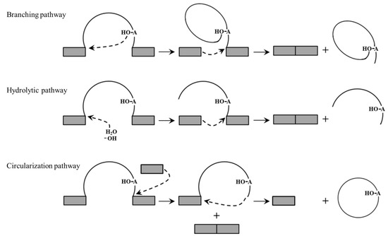 Research Progress of Group II Intron Splicing Factors in Land Plant ...