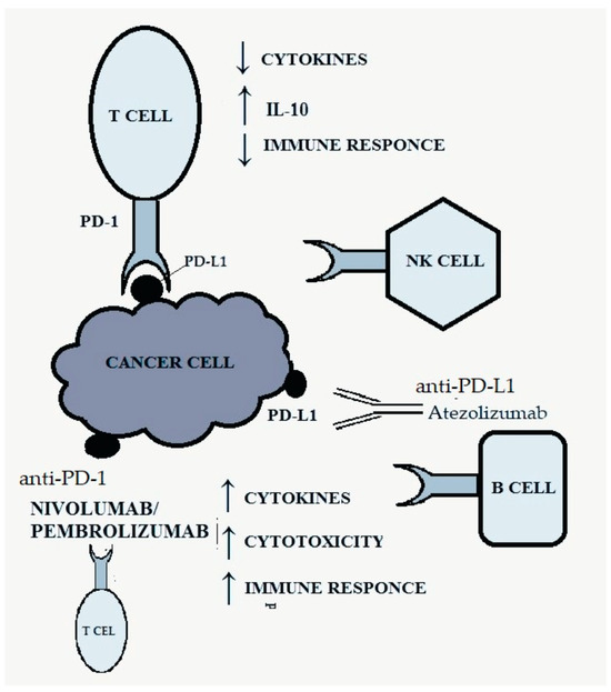 Cardiac and Nephrological Complications Related to the Use of ...