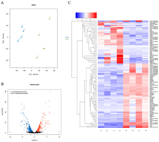 Analysis of Transcriptomic Differences in the Ovaries of High- and Low ...