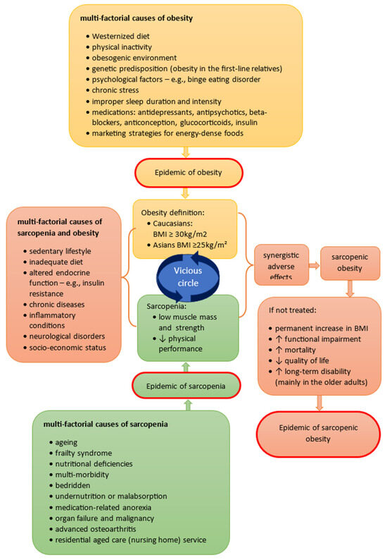 Immunogenetic Aspects of Sarcopenic Obesity