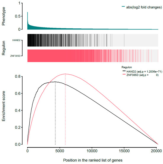Transcription Factor Regulation of Gene Expression Network by ZNF385D and HAND2 in Carotid ...