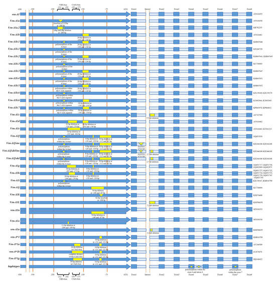Allelic Variations in Vernalization (Vrn) Genes in Triticum spp.