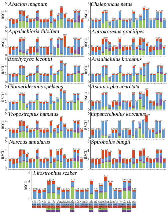 The First Complete Mitochondrial Genome of the Genus Litostrophus ...