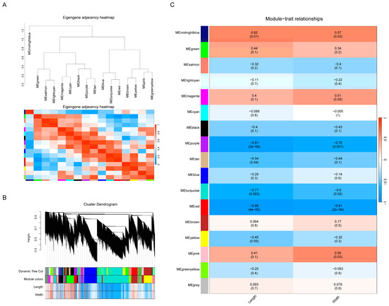 Genome and Transcriptome Analysis of the Torreya grandis WRKY Gene ...