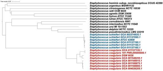 Whole Genome Sequencing and Comparative Genomics of Six Staphylococcus ...