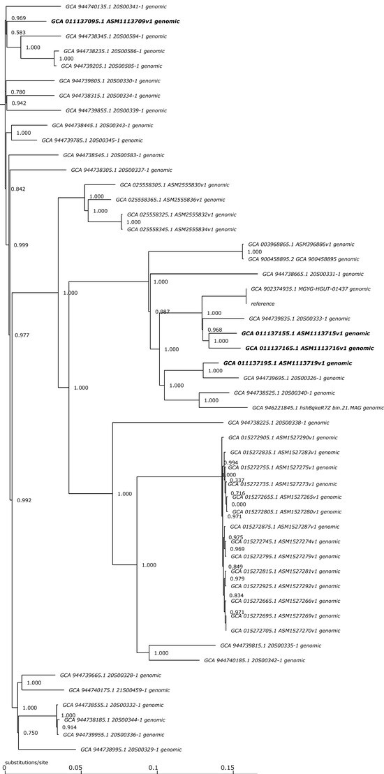 Whole Genome Sequencing and Comparative Genomics of Six Staphylococcus ...