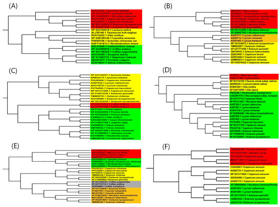 Cloning and Analysis of Expression of Genes Related to Carotenoid ...