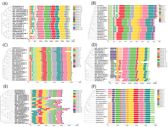 Cloning and Analysis of Expression of Genes Related to Carotenoid ...