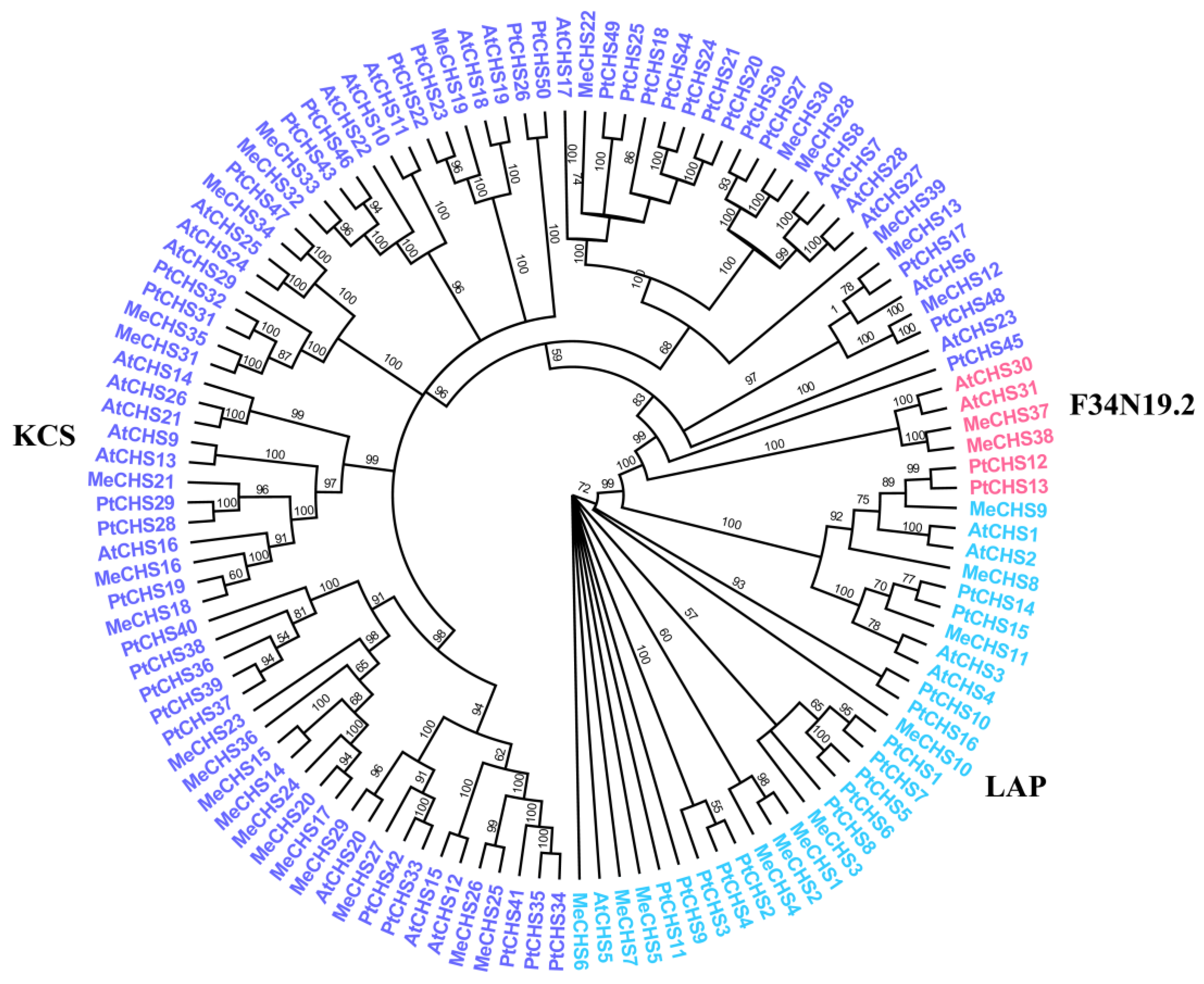 Genomic and Expression Analysis of Cassava (Manihot esculenta Crantz ...