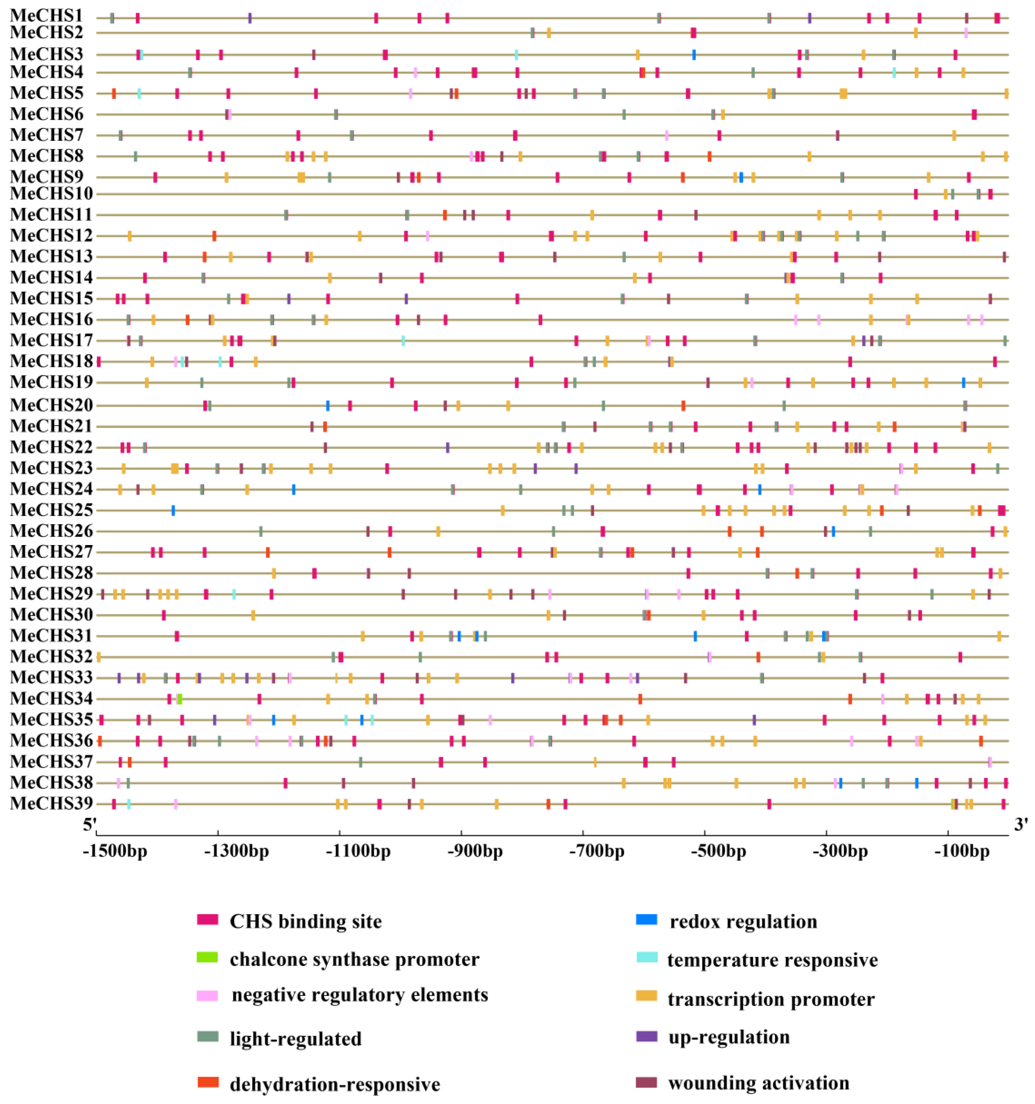 Genomic and Expression Analysis of Cassava (Manihot esculenta Crantz ...