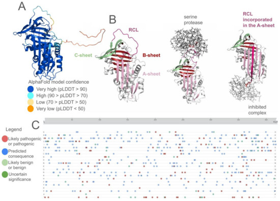 Computational Tools to Assist in Analyzing Effects of the SERPINA1 Gene ...