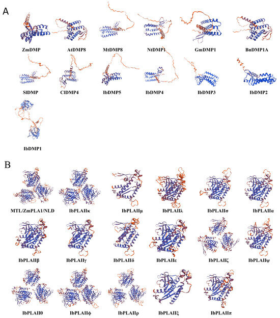 Genes | Free Full-Text | Genome-Wide Identification and Expression Analysis of the DMP and MTL ...