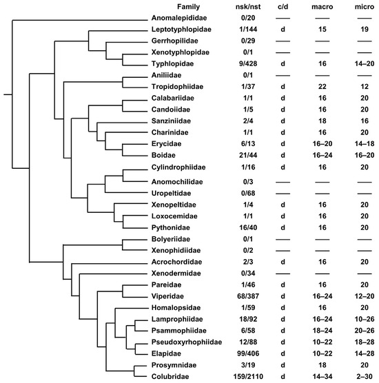 Karyotype Diversification and Chromosome Rearrangements in Squamate ...