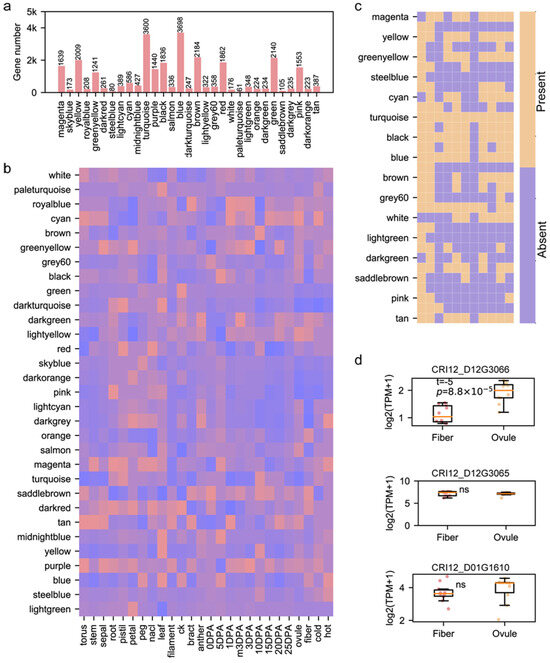Genes | Free Full-Text | Fingerprint Finder: Identifying Genomic ...