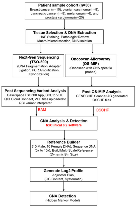 Comprehensive Analysis of Clinically Relevant Copy Number Alterations (CNAs) Using a 523-Gene ...