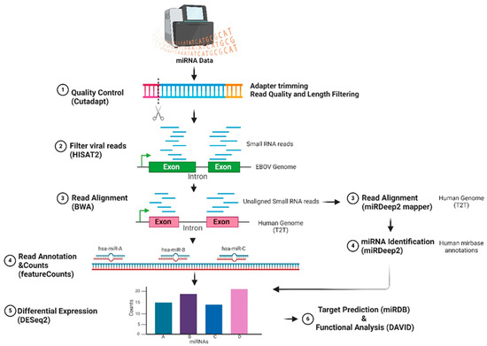 Identification and Potential Roles of Human MicroRNAs in Ebola Virus ...