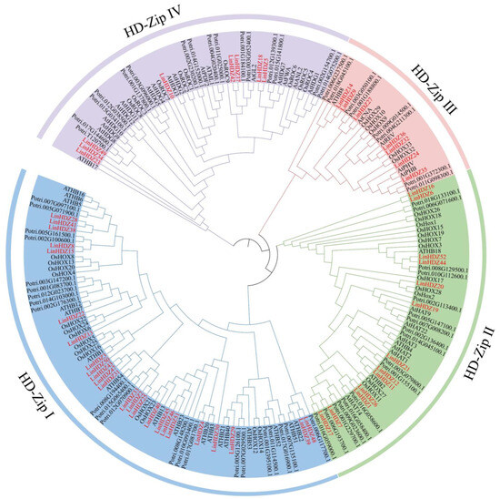 Genome-Wide Identification, Characterization, and Expression Analysis ...