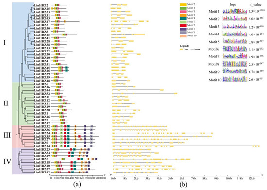 Genome-Wide Identification, Characterization, and Expression Analysis ...