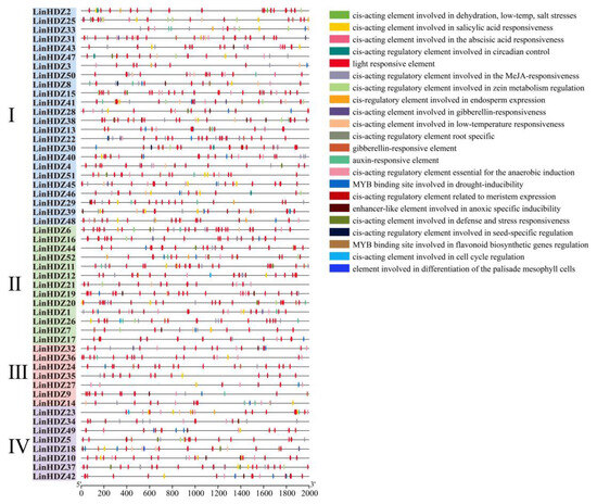 Genome-Wide Identification, Characterization, and Expression Analysis of the HD-Zip Gene Family ...