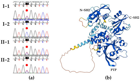 Paternally Inherited Noonan Syndrome Caused by a PTPN11 Variant May ...