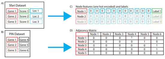 Graph Node Classification to Predict Autism Risk in Genes