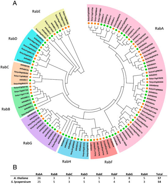 Identification, Classification, and Transcriptional Analysis of Rab ...