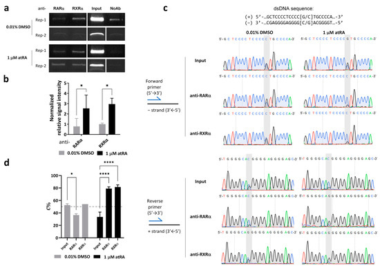 Allele-Specific Regulation of the Candidate Autism Liability Gene RAI1 ...