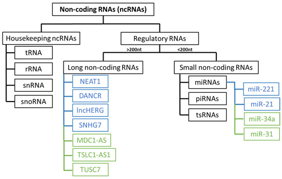 Genes | Free Full-Text | Principles in the Management of Glioblastoma