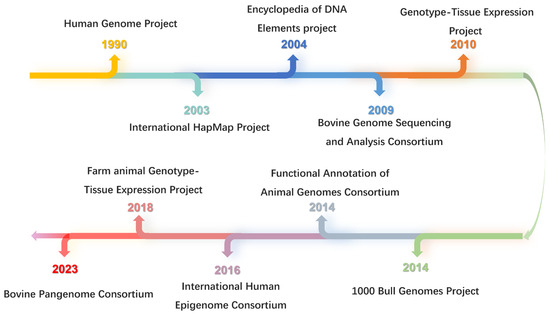 Research Progress and Applications of Bovine Genome in the Tribe Bovini