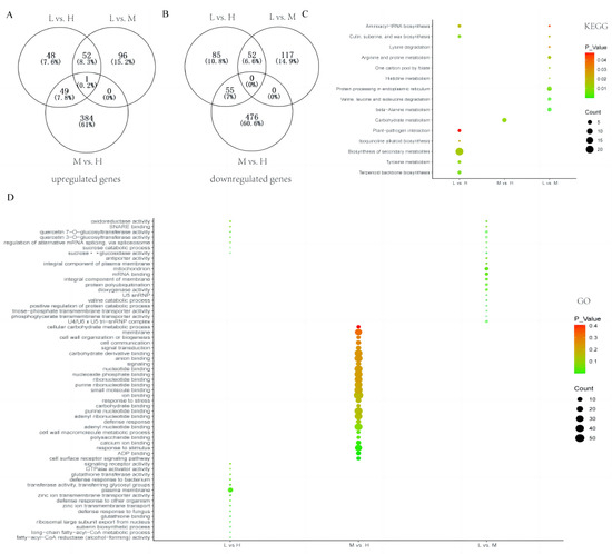 Genes | Free Full-Text | Identification of Crucial Modules and Genes ...