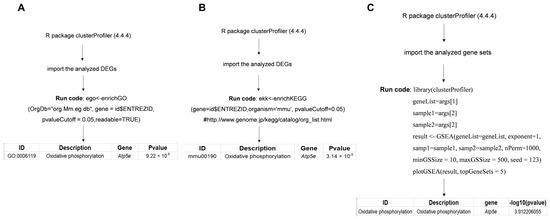 Single-Nucleus Transcriptome Profiling from the Hippocampus of a PTSD ...
