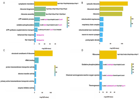 Single-Nucleus Transcriptome Profiling from the Hippocampus of a PTSD ...