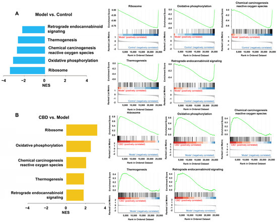 Single-Nucleus Transcriptome Profiling from the Hippocampus of a PTSD ...