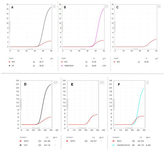 Resolving Discrepancies in Idylla BRAF Mutational Assay Results Using ...
