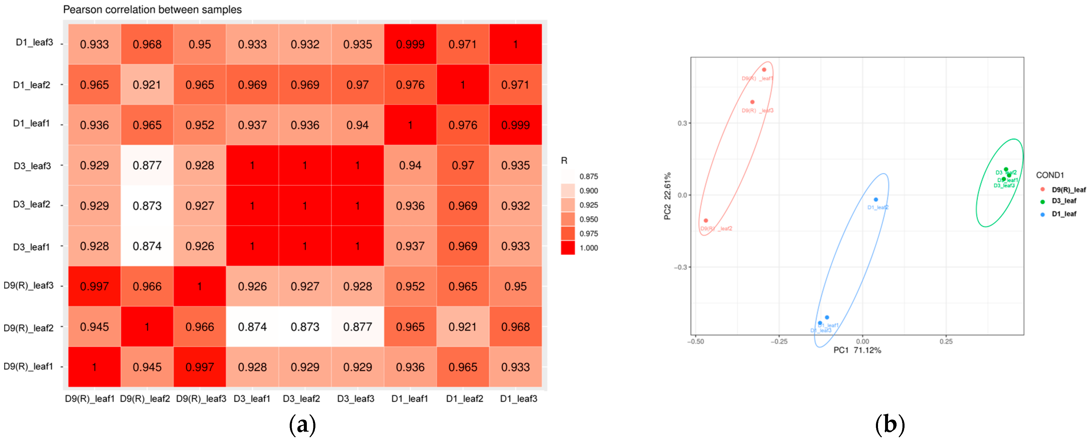 Transcriptome Analysis on the Quality of Epimedium koreanum in ...