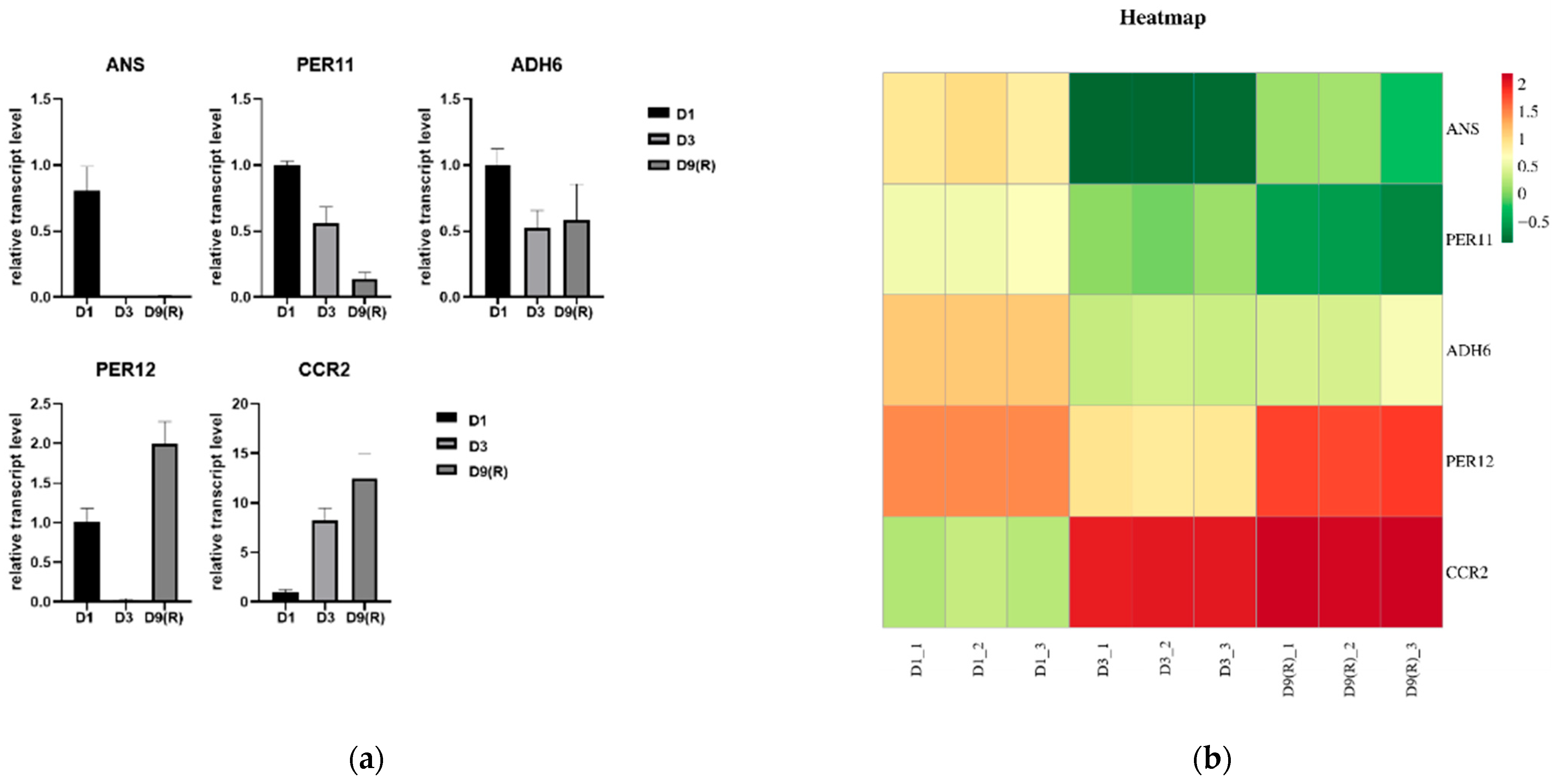 Transcriptome Analysis on the Quality of Epimedium koreanum in ...