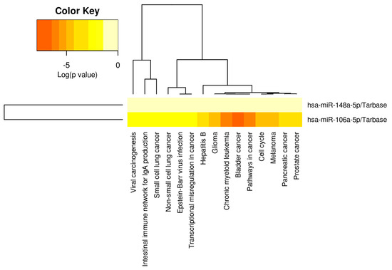 Genes Free Full Text Evaluation Of Mir 148a 3p And Mir 106a 5p As