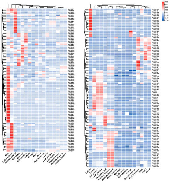 Genes | Free Full-Text | Genome-Wide Analysis of Transcription Factor ...