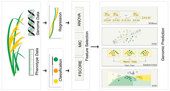 PlantMine: A Machine-Learning Framework to Detect Core SNPs in Rice Genomics