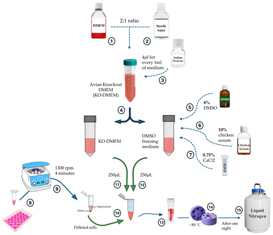 Genes Free Full Text The Effect Of Short And Long Term