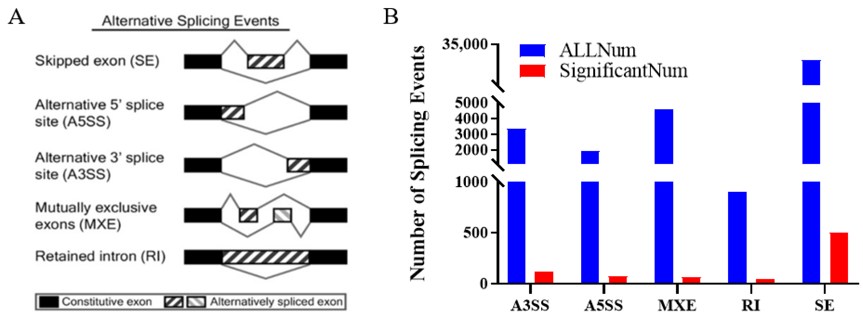 Comparative Genome-Wide Alternative Splicing Analysis between ...