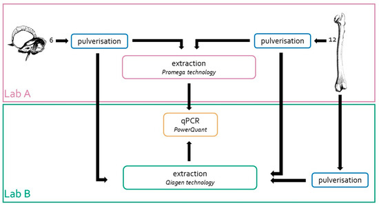 Genes | Free Full-Text | Evaluation of a New DNA Extraction Method on ...