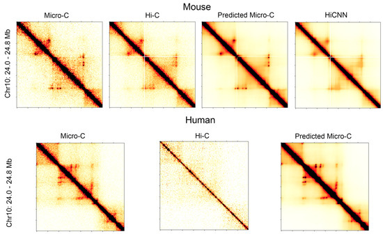 C2c: Predicting Micro-C from Hi-C
