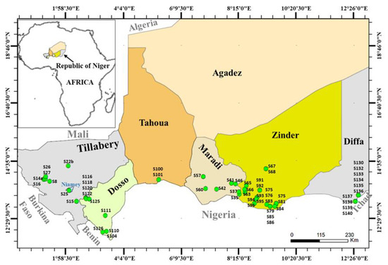 Genome Size Variation in Sesamum indicum L. Germplasm from Niger